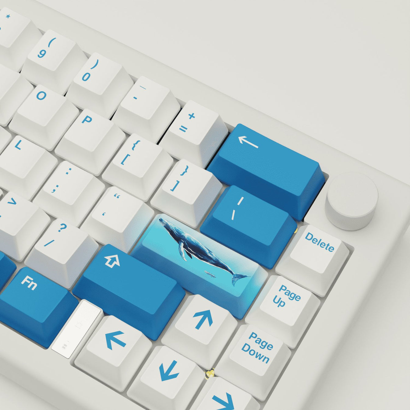 Blue Whale Design Keycaps and Mechanical Keyboard – Goblintechkeys