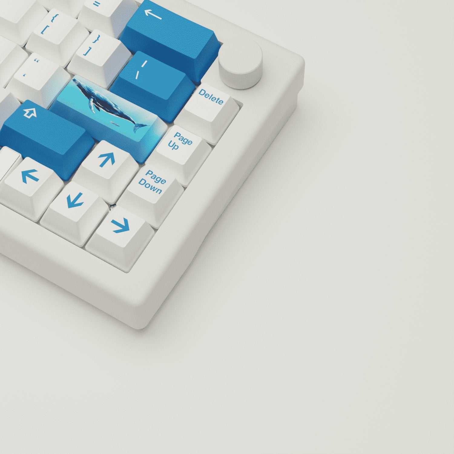 Blue Whale Design Keycaps and Mechanical Keyboard – Goblintechkeys