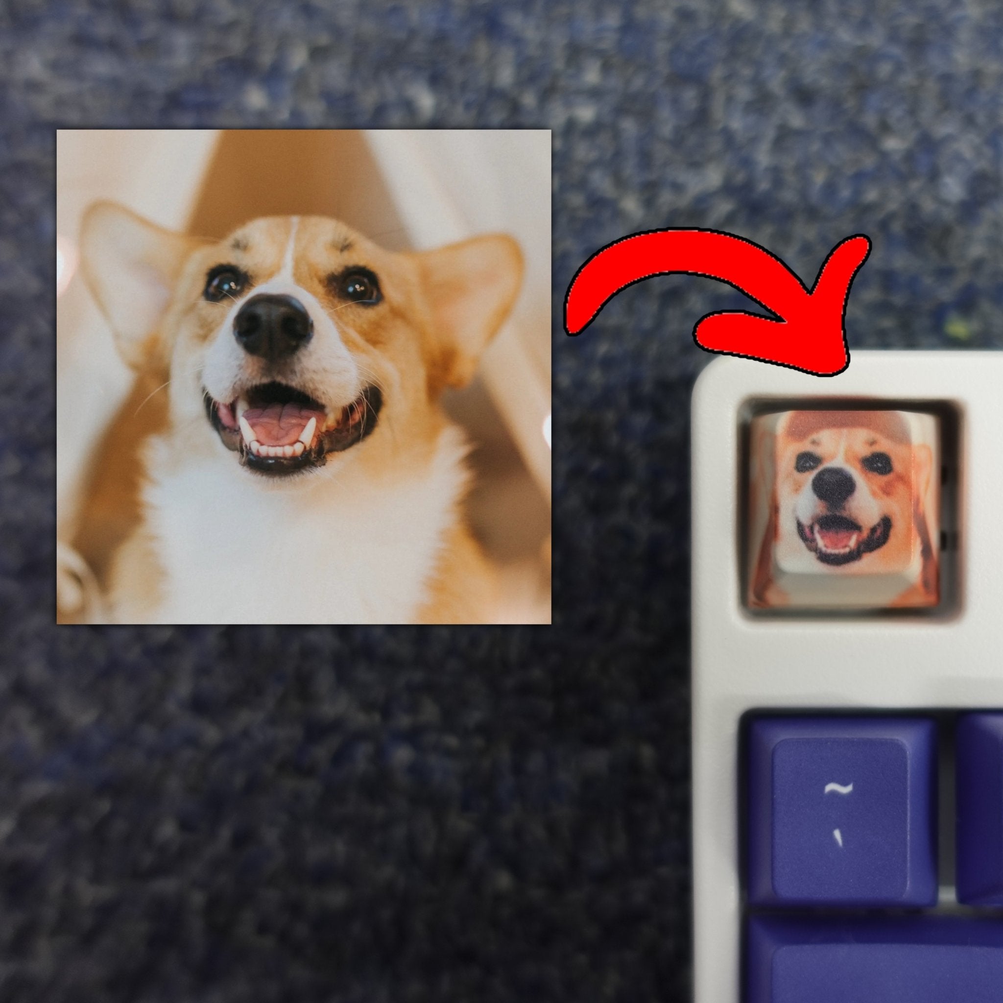 Custom Keycap (Single key, ESC, Spacebar, Enter and etc..) – Goblintechkeys